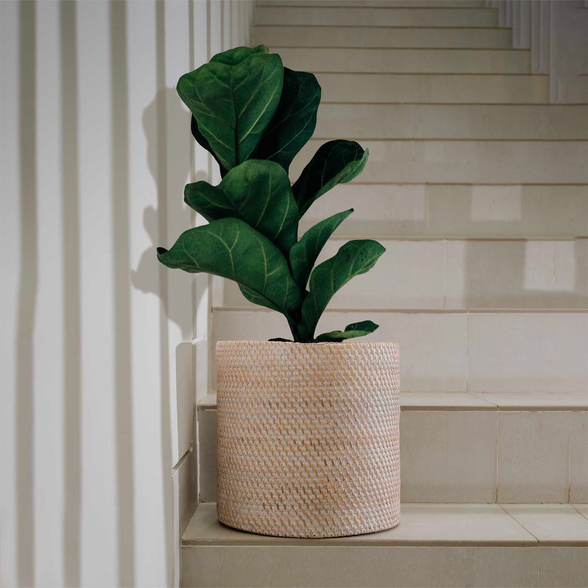 Rattan flower pots | Wicker Indoor Planters | Large wicker planter ...